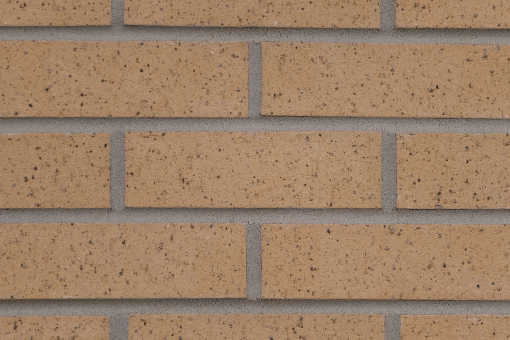 Palmetto Buffstone Wirecut - Spaulding Brick