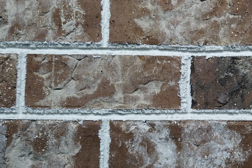 Palmetto Oak Grove - Spaulding Brick