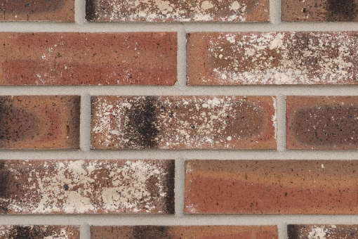 Palmetto Old English - Spaulding Brick