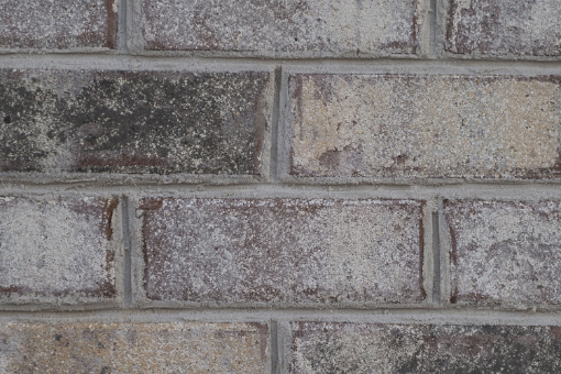 Palmetto Riviera - Spaulding Brick