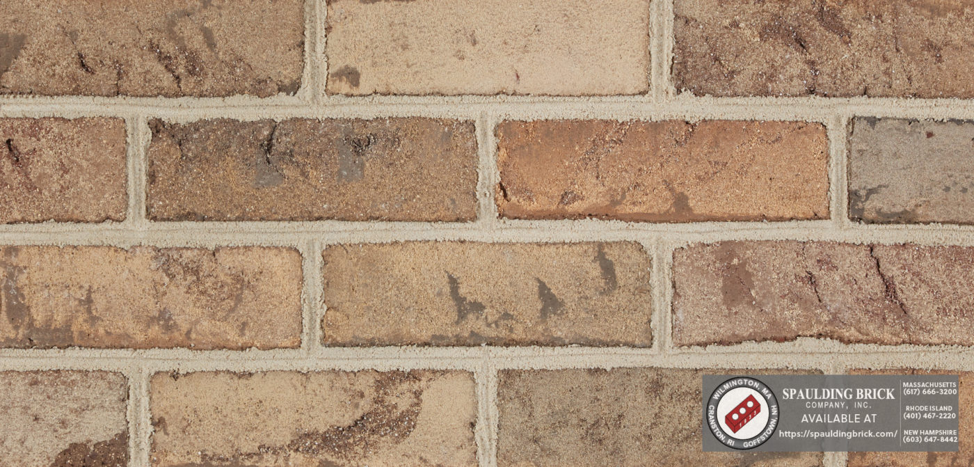 Belden Brick Alamo Blend - Spaulding Brick