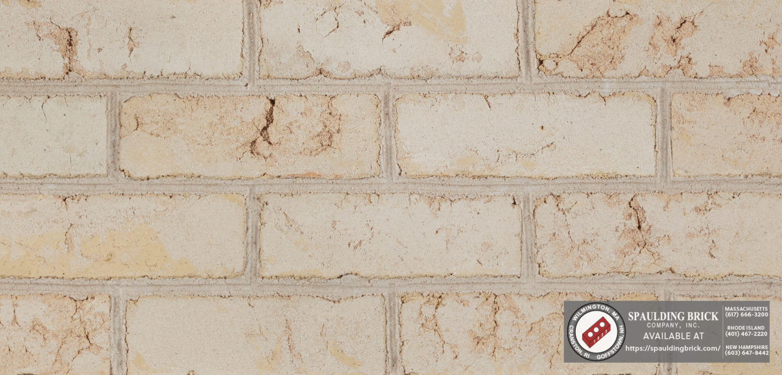 Belden Brick Arctic Clear - Spaulding Brick