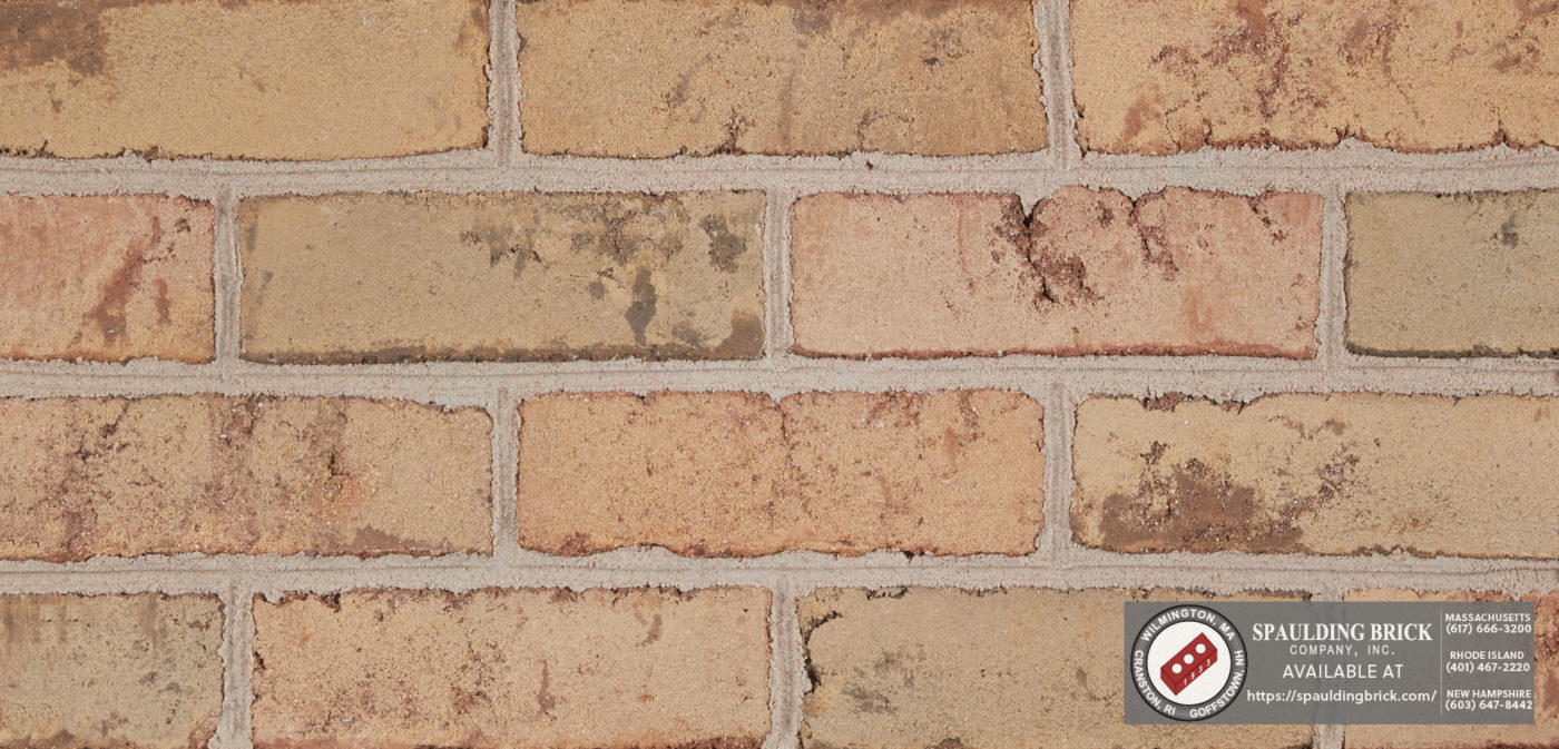 Belden Brick Beechwood - Spaulding Brick