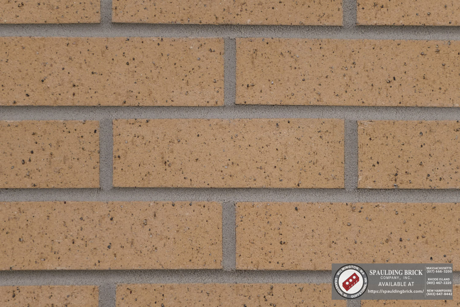 Palmetto Buffstone Wirecut - Spaulding Brick