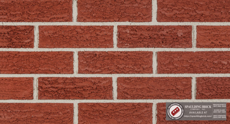 Belden Brick Cherry Bark - Spaulding Brick