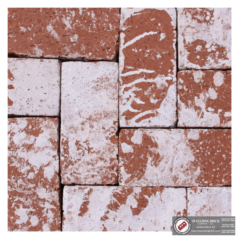 Pacific Clay Common Used White - Spaulding Brick