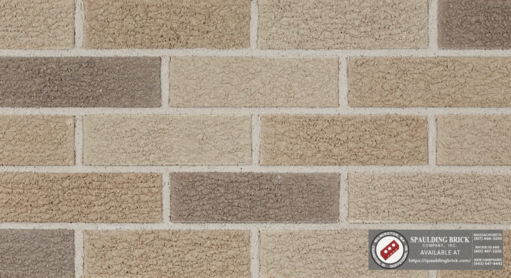 Belden Brick Dapple Gray Matt - Spaulding Brick