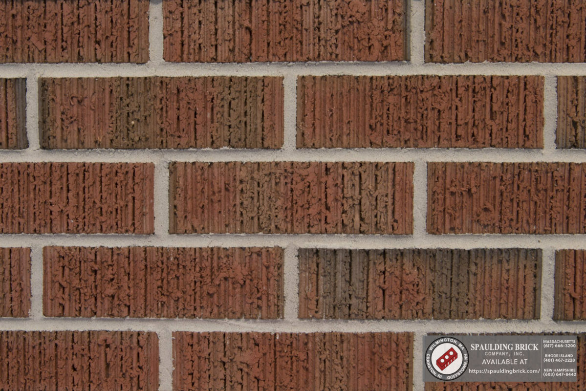 Palmetto Flashed Scratch - Spaulding Brick