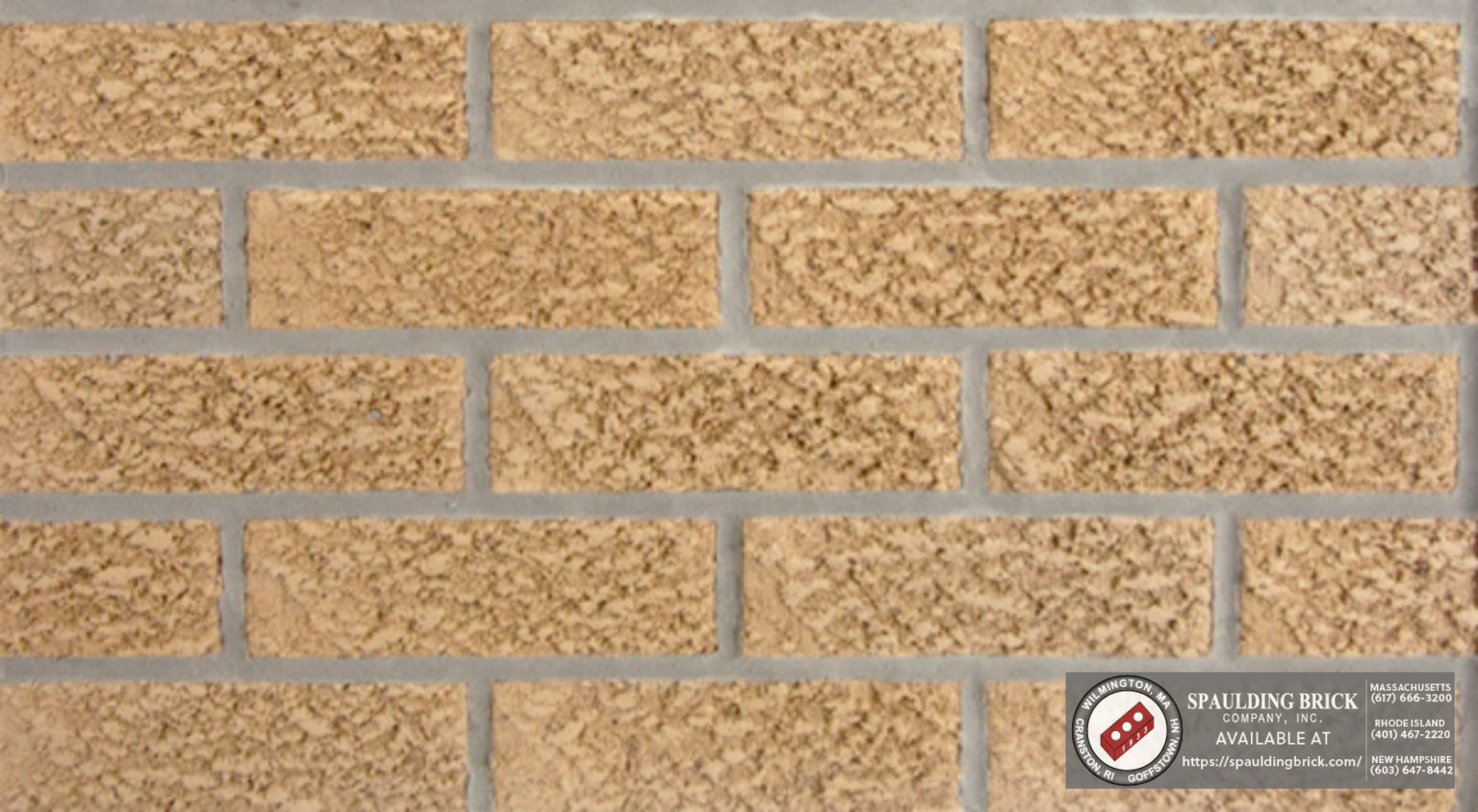 Endicott Golden Buff Matt - Spaulding Brick