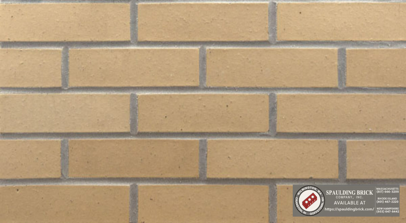 Endicott Golden Buff Smooth - Spaulding Brick
