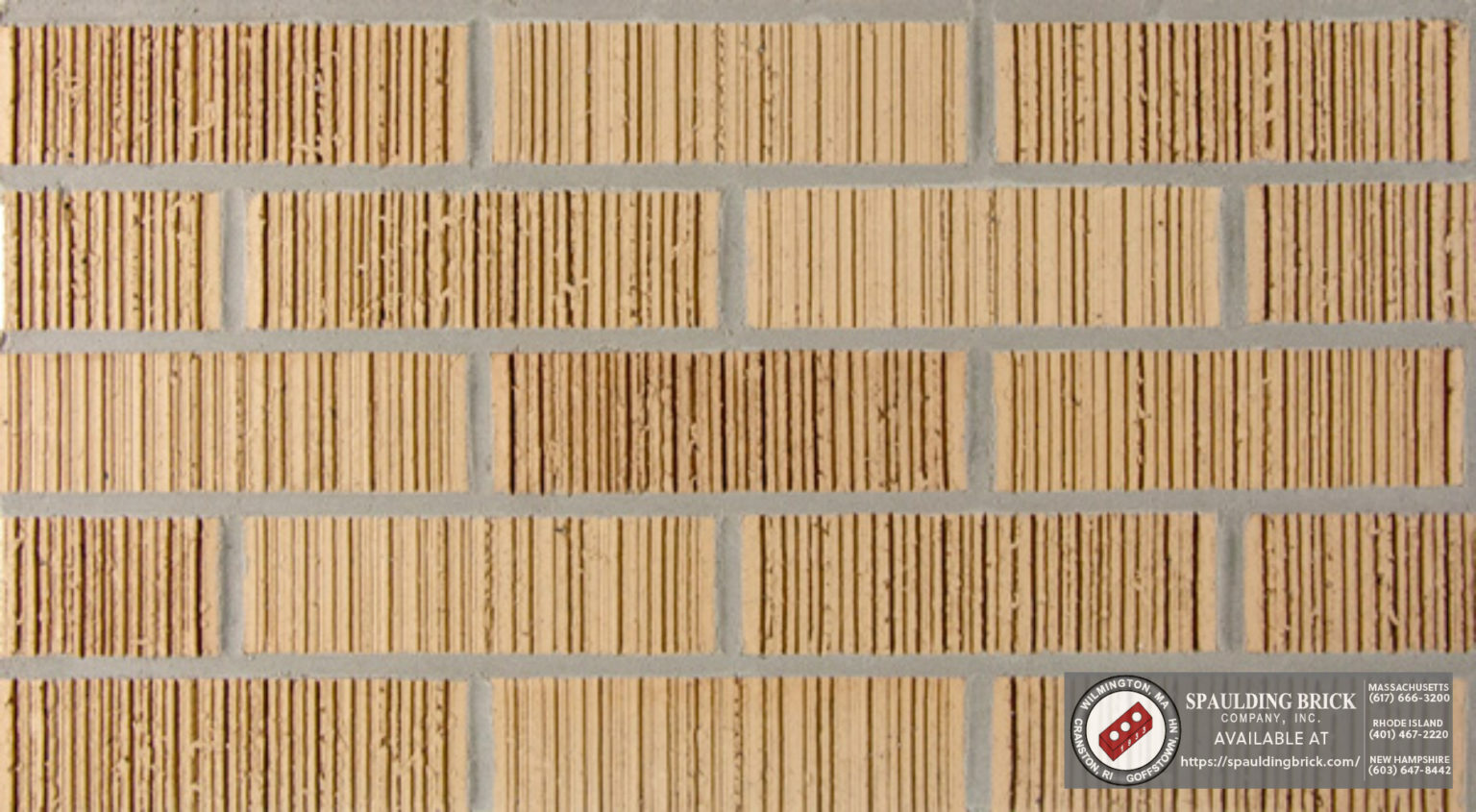 Endicott Golden Buff Vertical - Spaulding Brick
