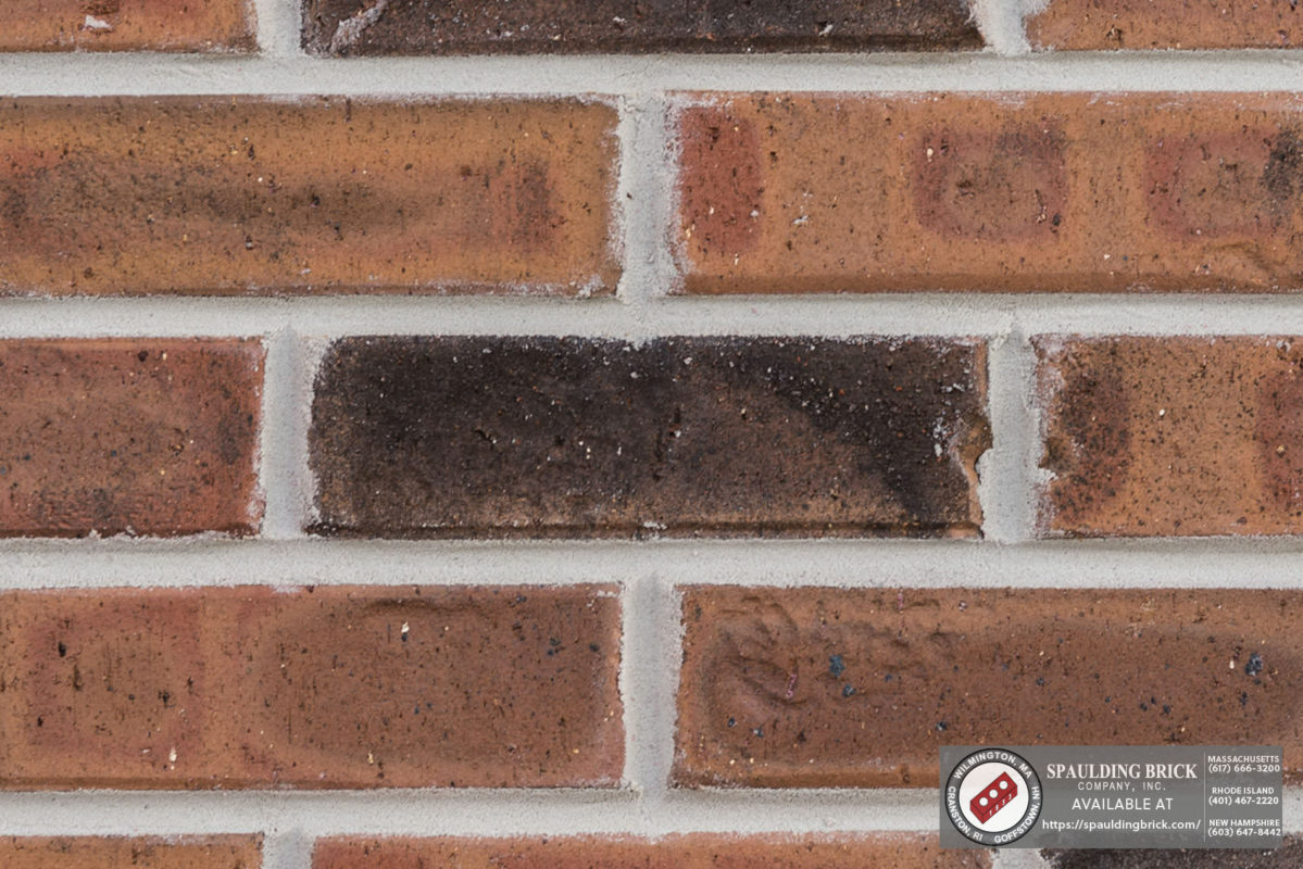 Palmetto Laurel Bay - Spaulding Brick