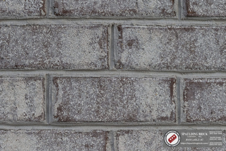 Palmetto Myrtle Sand - Spaulding Brick