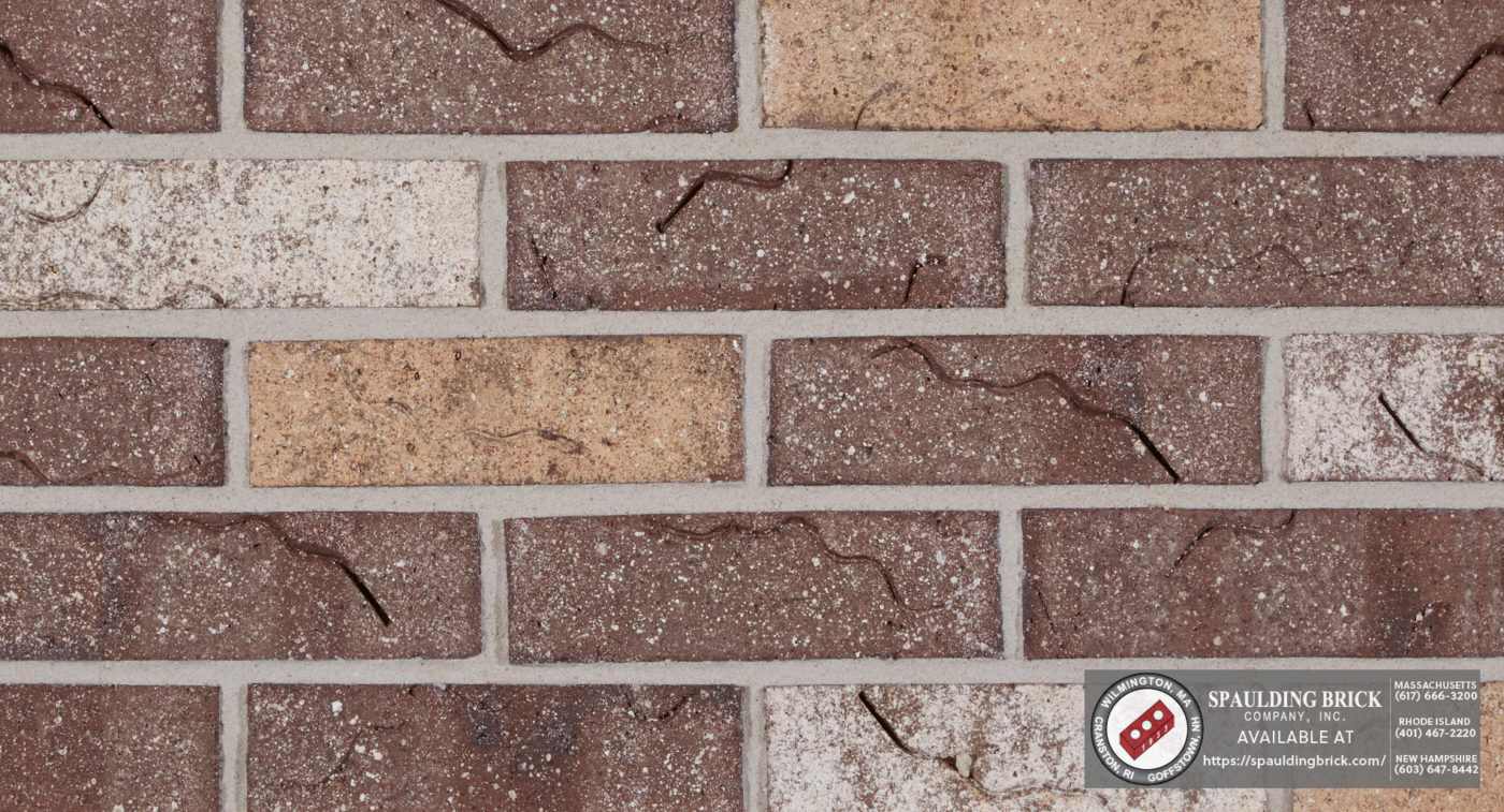 Belden Brick Nassau Medium - Spaulding Brick