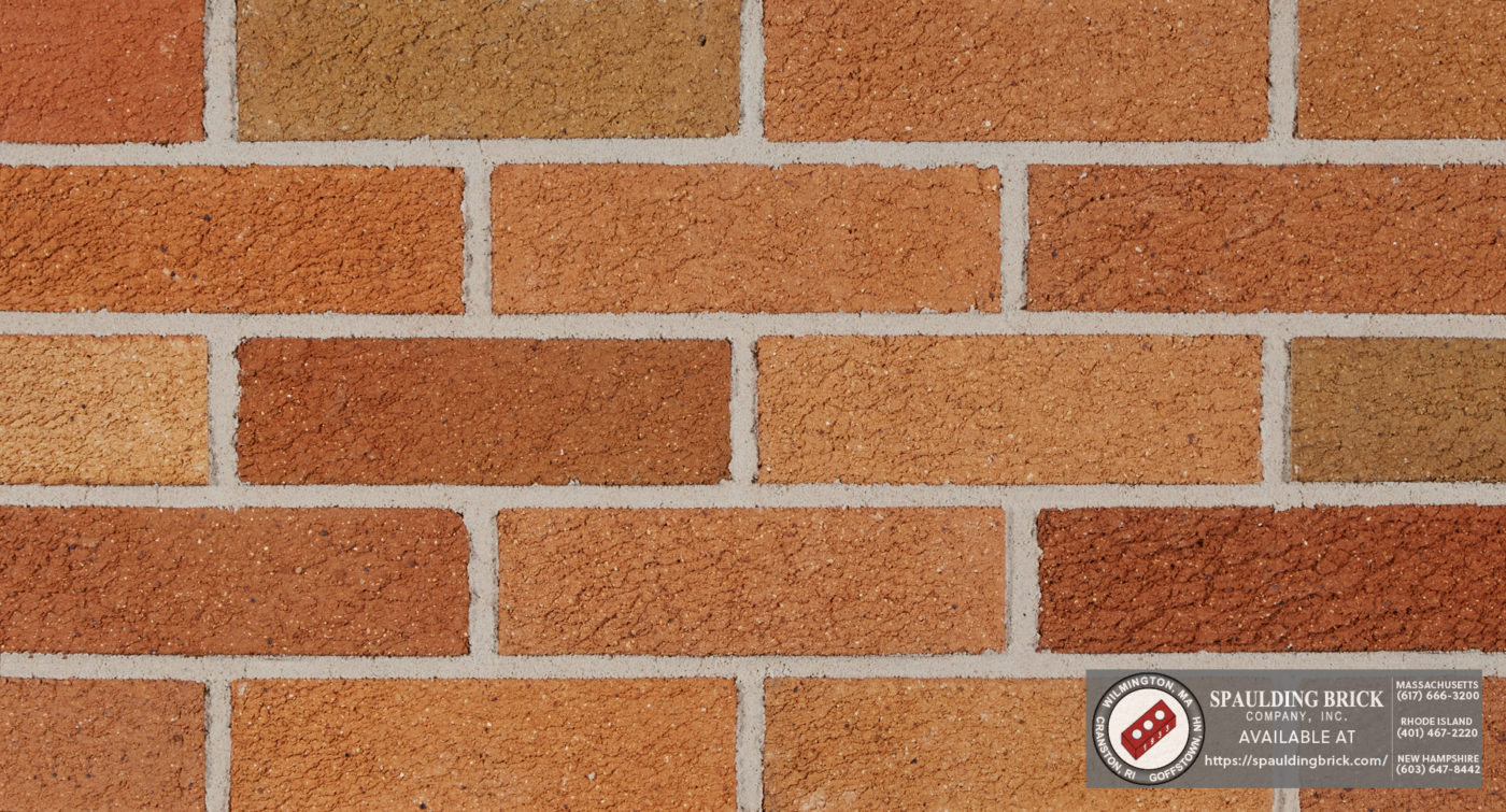 Belden Brick Nevada Blend - Spaulding Brick