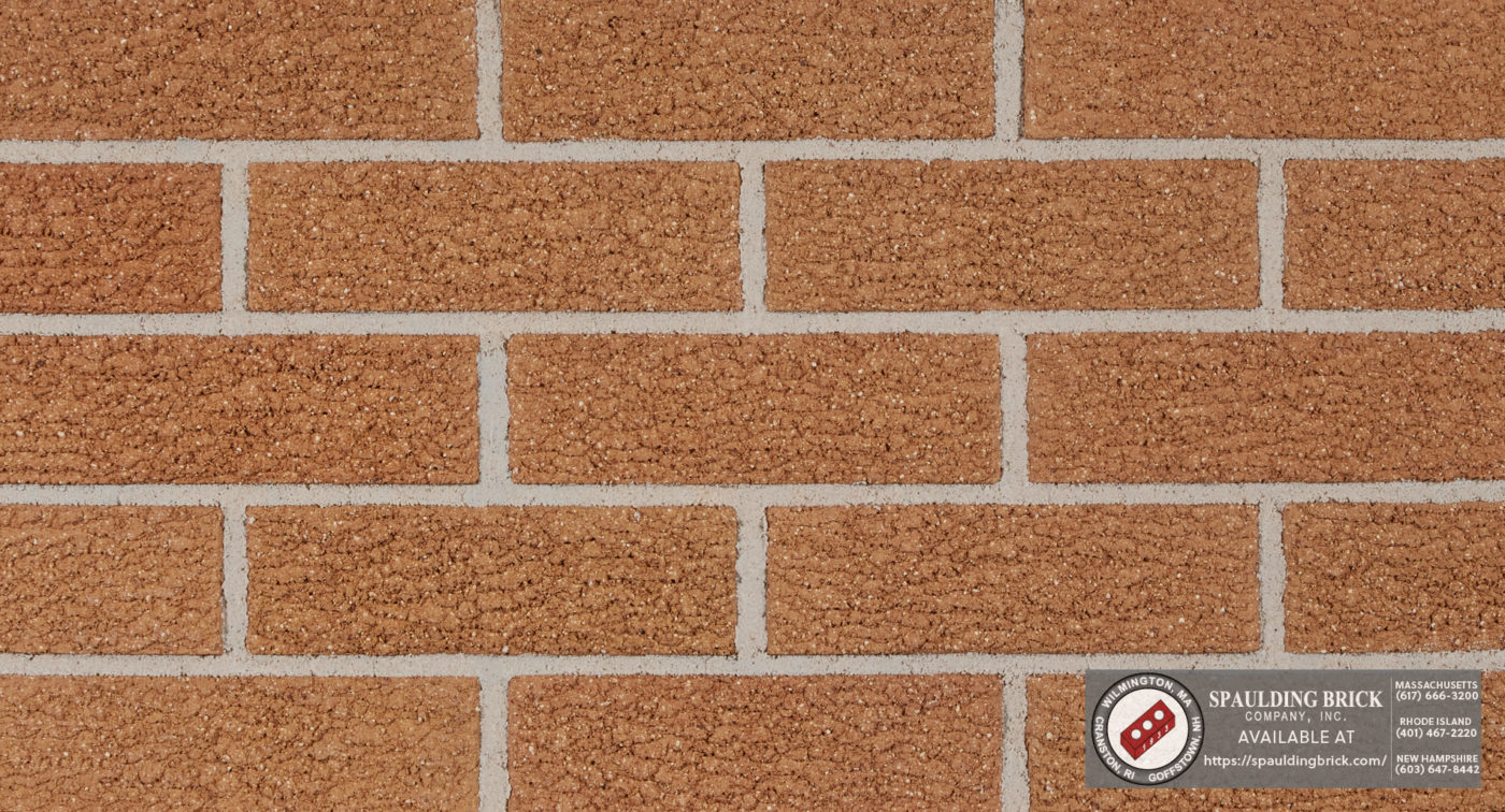 Belden Brick Pago Matt - Spaulding Brick