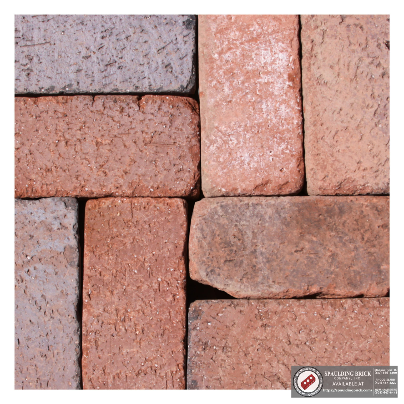 Pacific Clay Primero Bostonian - Spaulding Brick