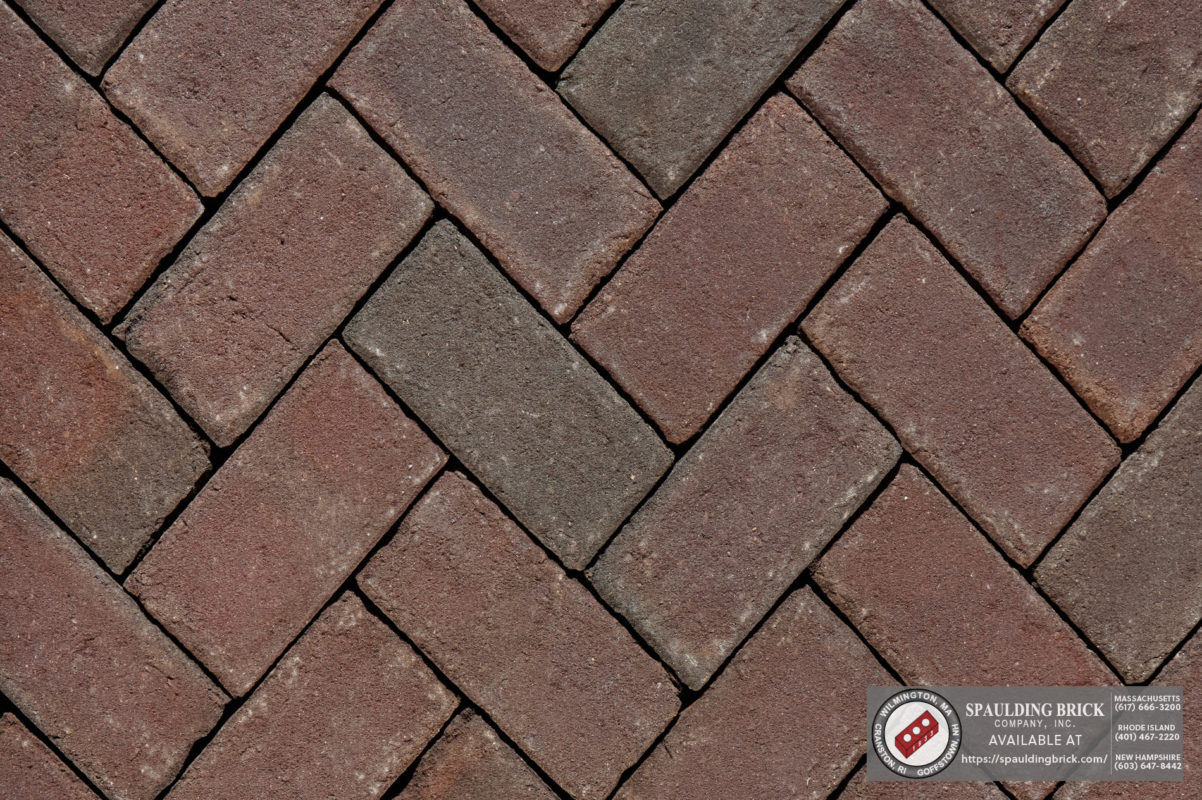 Belden Rembrandt - Spaulding Brick