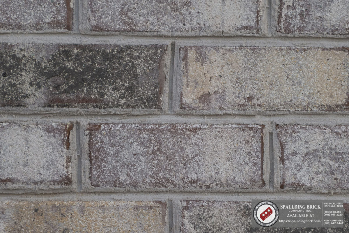 Palmetto Riviera - Spaulding Brick