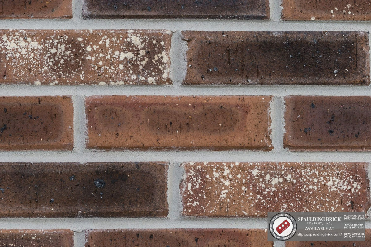 Palmetto Ship Ballast - Spaulding Brick