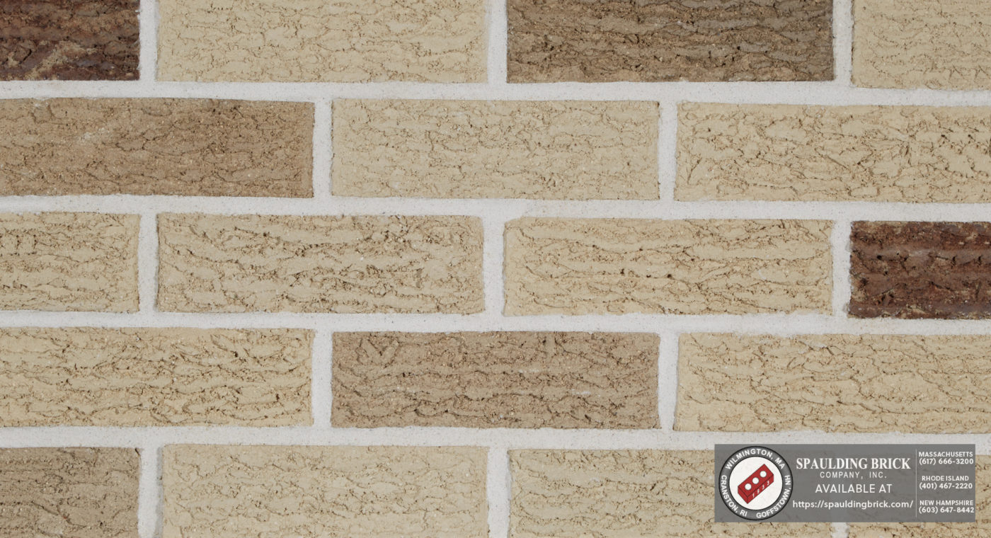 Belden Brick Silver Satin Bark - Spaulding Brick