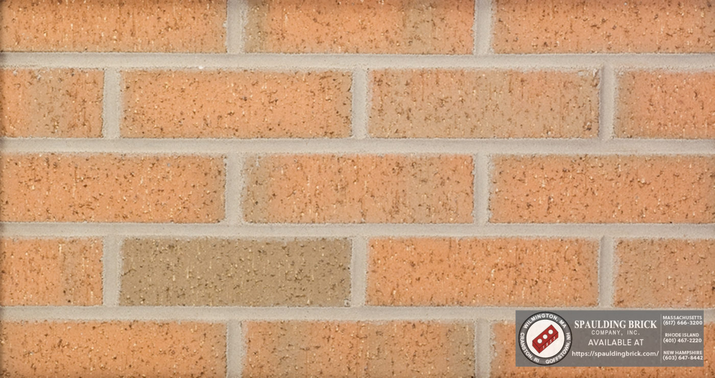 Glen-Gery Spring Hue Velour - Spaulding Brick