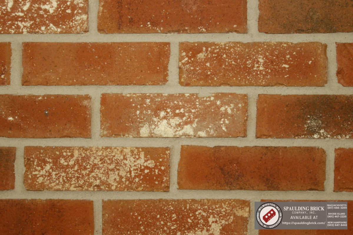 Palmetto Terra Blend - Spaulding Brick