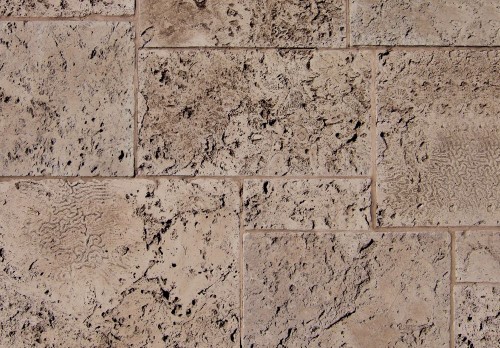 Coronado Stone Caribbean Coral Barbados - Spaulding Brick