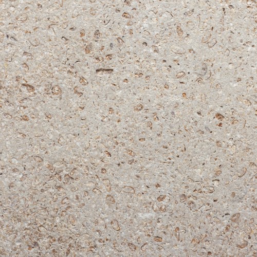 US Stone Chestnut Shell - Brushed - Spaulding Brick