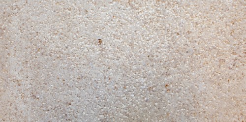 US Stone Chestnut Shell - Suede - Spaulding Brick